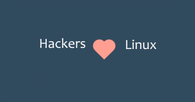Why do hackers use Linux based operating systems?