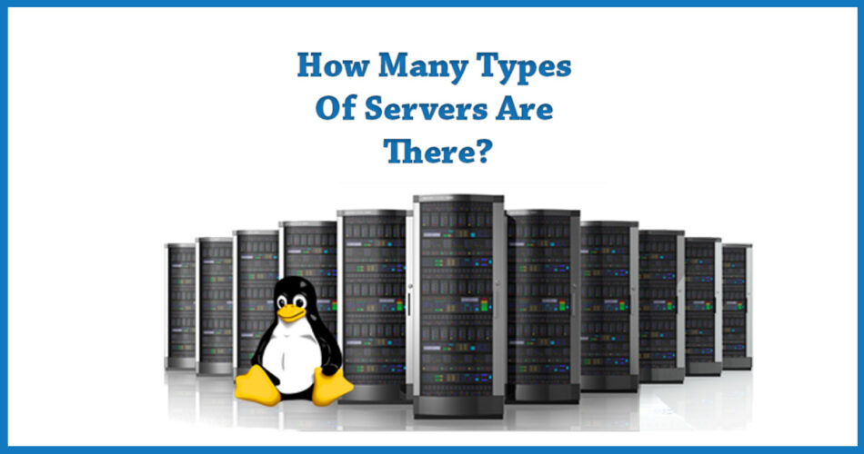 What is a Server? What are the different types of servers?