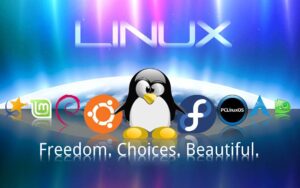 5 Best Ways to Use Linux inside Windows OS