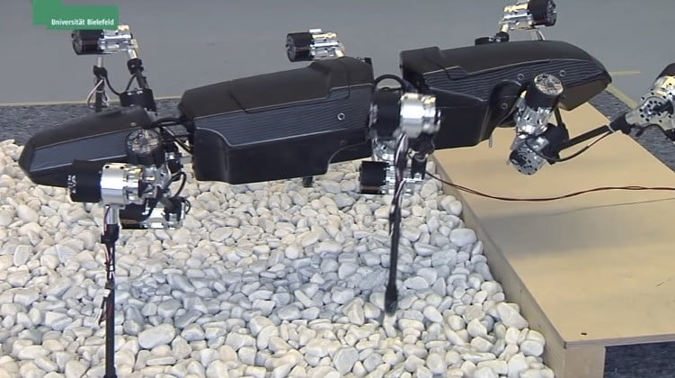 Robots: Hector- The 6 Legged Robot