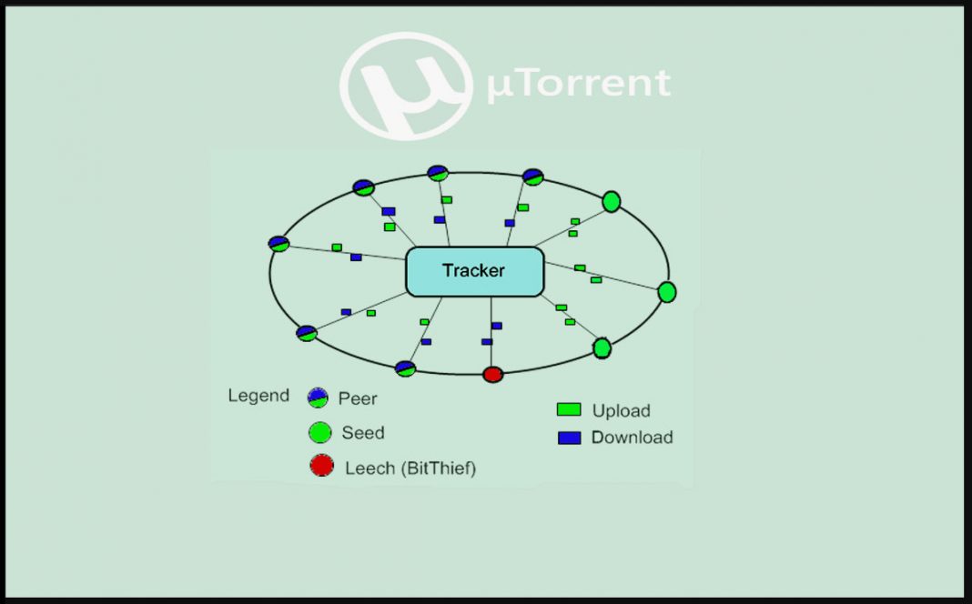 What are Seeders, Peers and Leechers in Torrent?