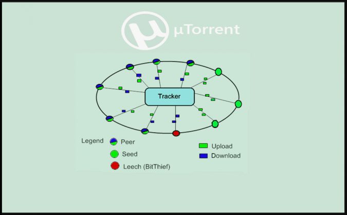 What are Seeders, Peers and Leechers in Torrent?