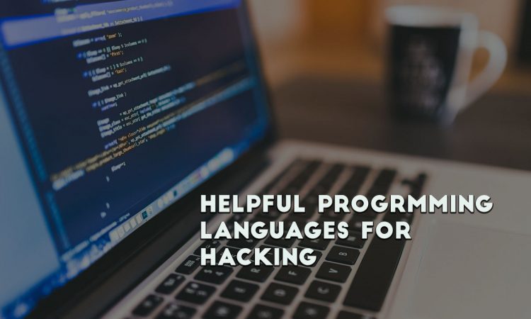 Most Useful Programming Languages for Ethical Hacking