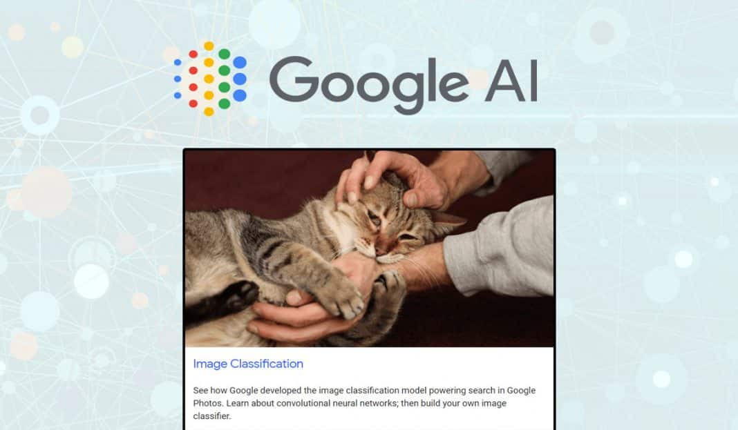 Google's Image Classification Model is now Free to Learn