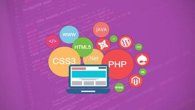 Best Web Frameworks in Popular Programming Languages