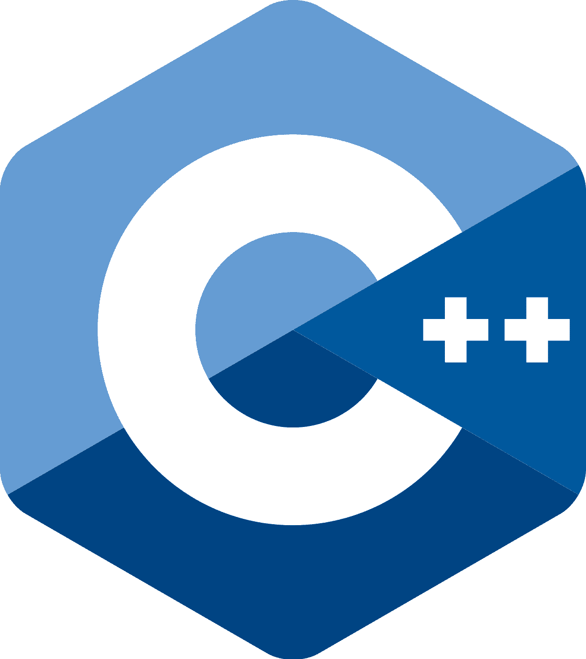Top Programming Languages For Image Recognition