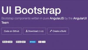 Top 4 AngularJs Frameworks for developing Angular Applications