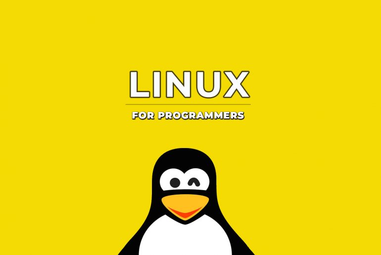 Top 5 Best Linux Distros Programmers And Developers