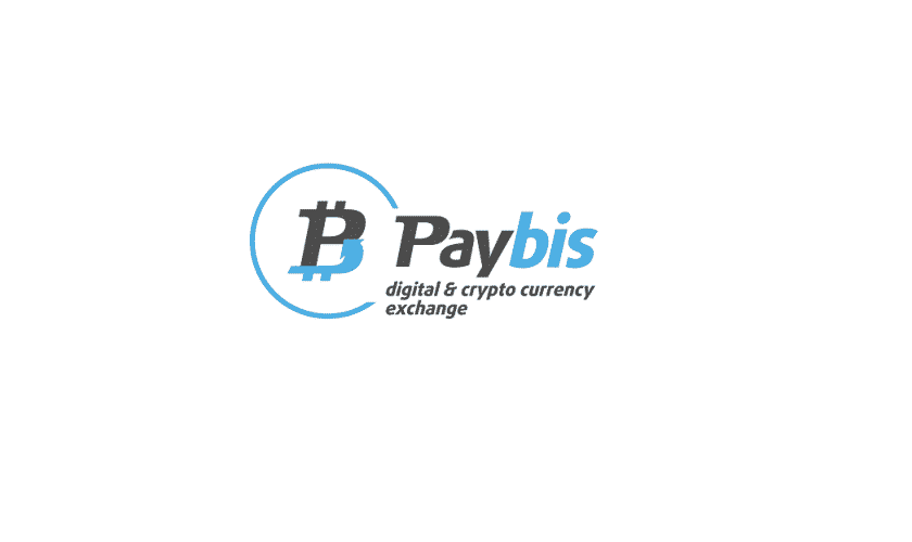 Paybis Online Transactions Platform Review